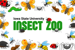 The Insect Zoo Waterloo Public Library